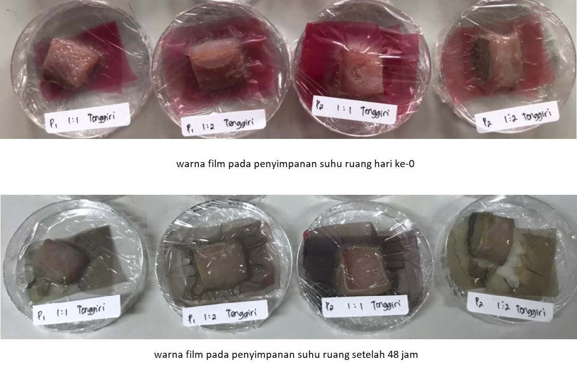 Mahasiswa DTPB Menjadi Anggota Tim PKM Smart Packaging Limbah Pisang ...